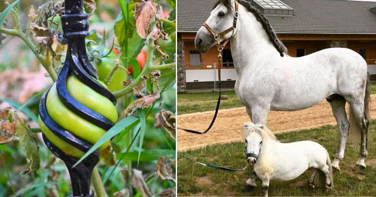 20+ Rare Photos Of Things You’ll Probably Never See In Real Life