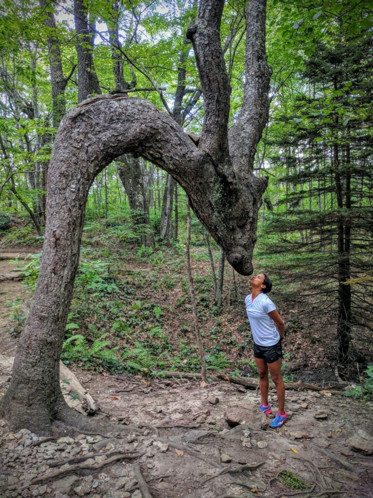30 Creepy Trees That Will Cause a Serious Double Take